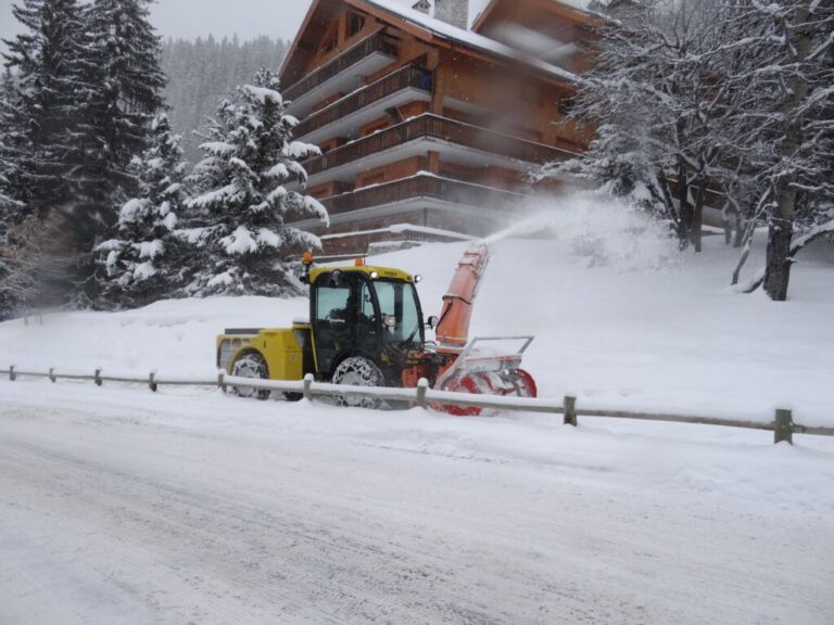 Strategic Network Snow Blower - Multevo