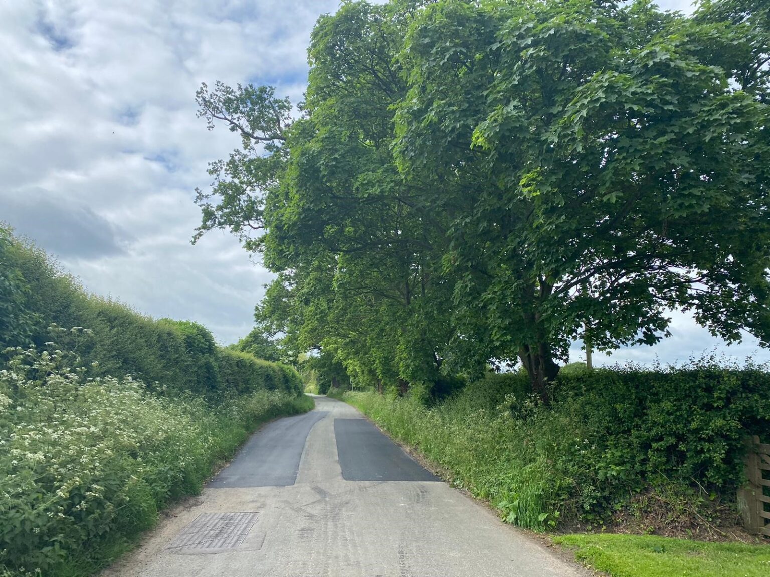 Local Roads - Multevo